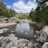 Viles Branch Equestrian Trail, Arkansas - 22 Reviews, Map | AllTrails