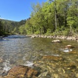Viles Branch Equestrian Trail, Arkansas - 22 Reviews, Map | AllTrails