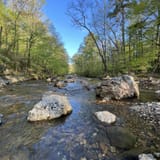 Viles Branch Equestrian Trail, Arkansas - 22 Reviews, Map | AllTrails
