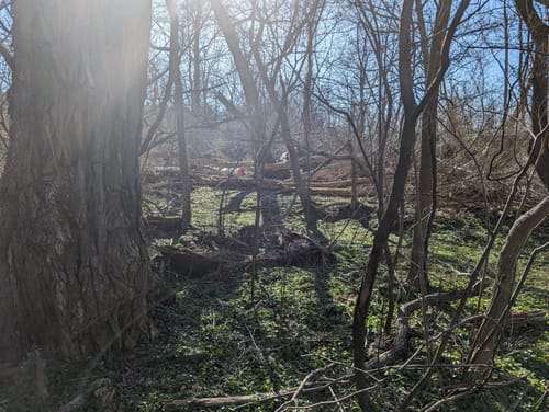 Best Hikes and Trails in Amherst State Park | AllTrails