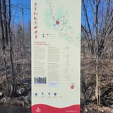K&P Trail , Ontario, Canada - 213 Reviews, Map | AllTrails
