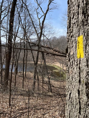 Ridge Run County Park: Die besten Wanderungen und Routen | AllTrails