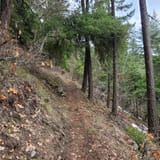Dog River Trail, Oregon - 210 Reviews, Map | AllTrails