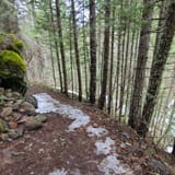 Dog River Trail, Oregon - 210 Reviews, Map | AllTrails