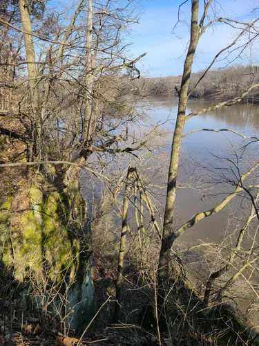 Best Hikes and Trails in Cedar Cliff Forest Preserve | AllTrails