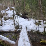 Dog River Trail, Oregon - 210 Reviews, Map | AllTrails