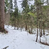Dog River Trail, Oregon - 210 Reviews, Map | AllTrails