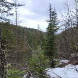 Dog River Trail, Oregon - 204 Reviews, Map | AllTrails