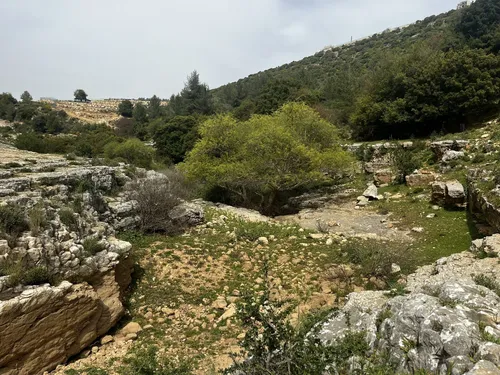 2023 Best 10 Long Trails in Har Meron Nature Reserve | AllTrails