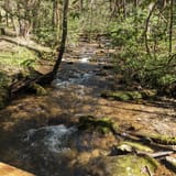 Upper Chattahoochee Campground to Horse Trough Falls, Georgia - 114 ...