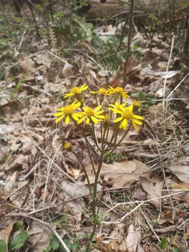 Best Hikes and Trails in Perry State Forest | AllTrails