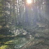 Little Traverse Lake, Michigan - 49 Reviews, Map | AllTrails