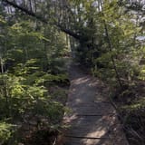 Little Traverse Lake, Michigan - 49 Reviews, Map | AllTrails