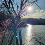 Lake Atalanta via Frisco Springs Trail, Arkansas - 366 Reviews, Map ...