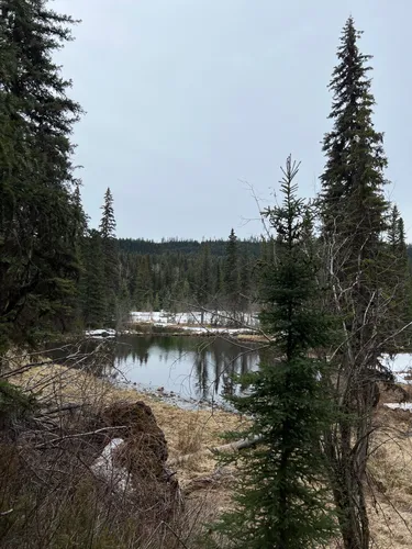 Best Hikes and Trails in Blackwater River Crossing Recreation Site ...