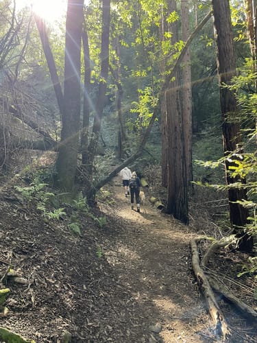 Best Hikes and Trails in Baltimore Canyon Open Space Preserve | AllTrails