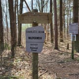 Patton Cave via Hayes and Patton Cave Trail, Indiana - 290 Reviews, Map ...