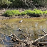 Blockhouse Point Loop Trail, Maryland - 823 Reviews, Map | AllTrails