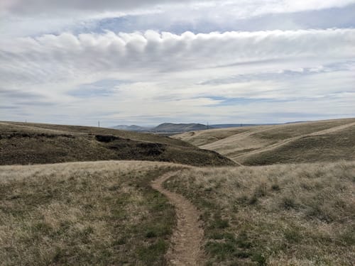 Best Hikes and Trails in Benton City | AllTrails