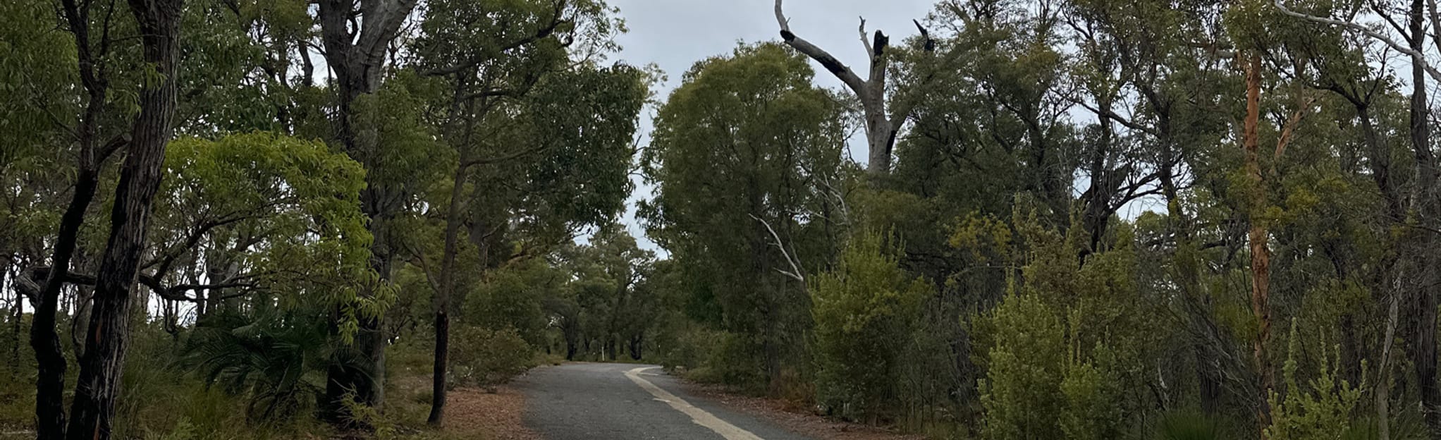 Boya Quarry and Greenmount Lookout Loop: 211 fotos - Western Australia ...