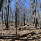Pine Swamp Loop, New York - 1,106 Reviews, Map | AllTrails