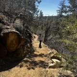 Spruce Canyon Trail, Colorado - 270 Reviews, Map | AllTrails