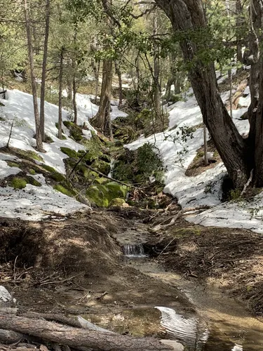 2023 Best Off Road Driving Trails in Oakhurst | AllTrails