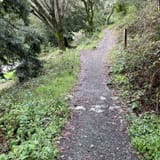 East Ridge Trail to West Ridge Trail Loop from Skyline Blvd, California ...