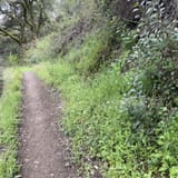 East Ridge Trail to West Ridge Trail Loop from Skyline Blvd, California ...