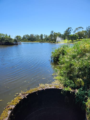 Best Hikes and Trails in Anzac Park | AllTrails