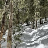 Hidden Valley, Colorado - 158 Reviews, Map | AllTrails