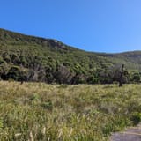 Palm Jungle Loop Track, New South Wales, Australia - 339 Reviews, Map ...