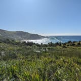Palm Jungle Loop Track, New South Wales, Australia - 339 Reviews, Map ...