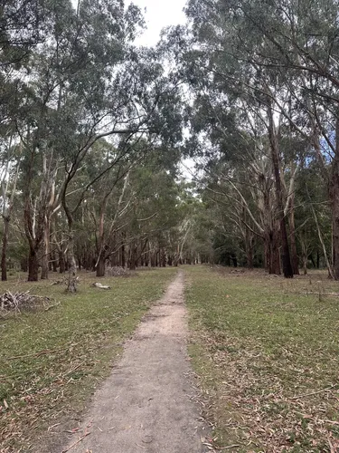 10 Best Hikes and Trails in Grampians National Park (Gariwerd) | AllTrails