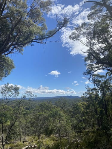 Best Hikes and Trails in Mount Direction Historic Site | AllTrails