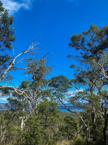 Best Hikes and Trails in Mount Direction Historic Site | AllTrails