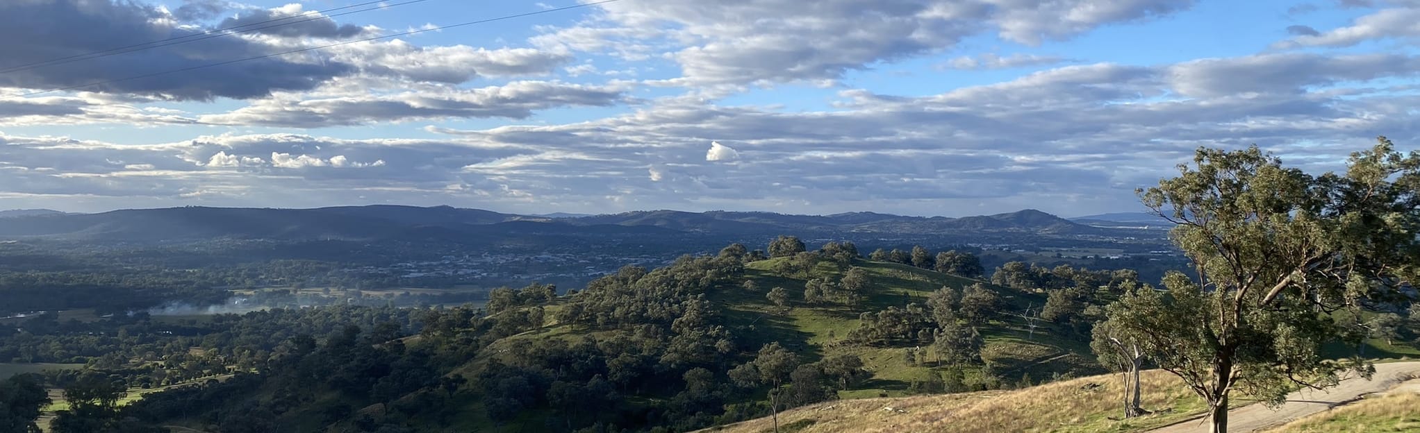 Huon Hill via Stringybark Track: 39 Fotos - Victoria, Australien ...