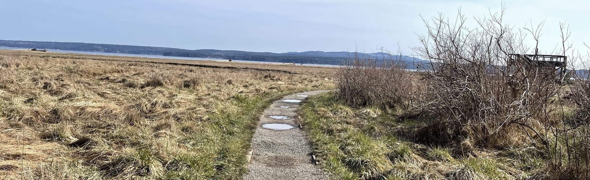 Dosewallips Beach Trail, Washington - 31 Reviews, Map | AllTrails