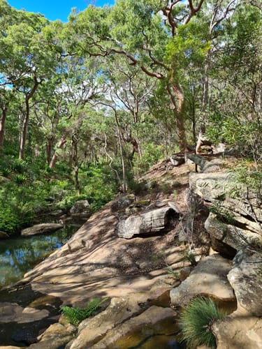 Best Hikes and Trails in Mill Creek Mountain Bike Trails (Menai Park ...