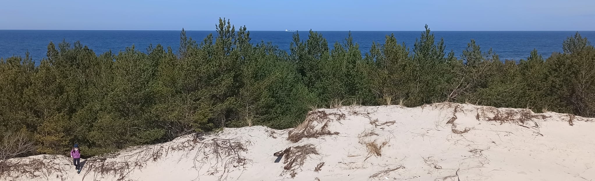 Lubiatowo Dune Nature Trail: 16 Photos - Pomeranian Voivodeship, Poland ...
