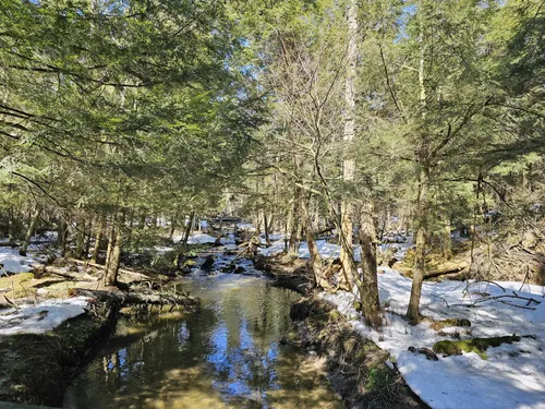 Best Forest Trails in Yamaska National Park | AllTrails