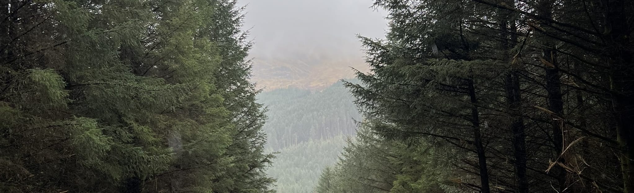 Glen Duror Circular, Argyll and Bute, Scotland - 30 Reviews, Map ...