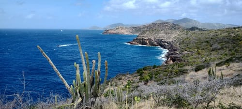 2023 Best 10 Trail Running Trails in Antigua | AllTrails