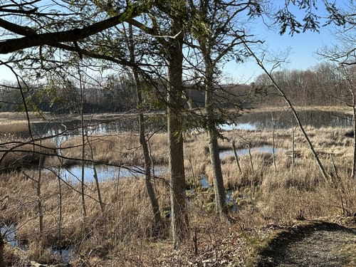 Best Hikes and Trails in Thompson Pond Preserve | AllTrails
