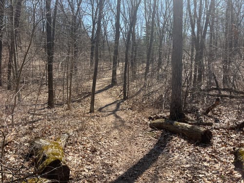 2023 Best Mountain Biking Trails in Brighton State Recreation Area ...