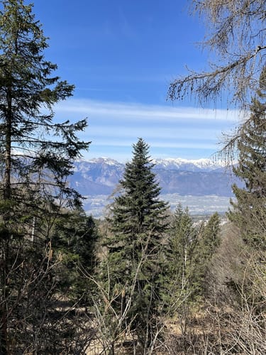 Best Hikes and Trails in Predaia | AllTrails