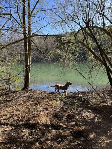 Best Hikes and Trails in Perry State Forest | AllTrails