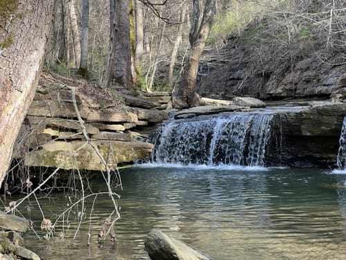 Best Hikes and Trails in Nine Penny Branch Nature Preserve | AllTrails