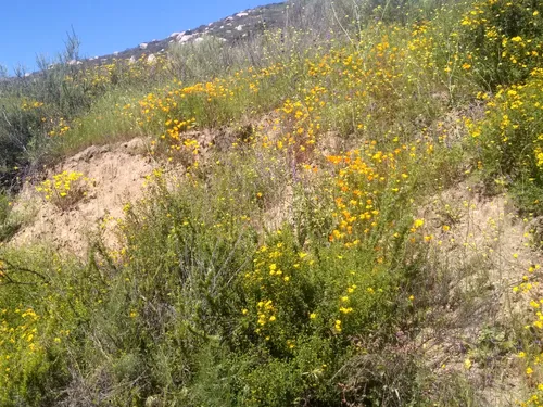 Best Hikes and Trails in Sycuan Indian Reservation | AllTrails