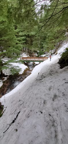 2023 Best Waterfall Trails in Yacolt Burn State Forest | AllTrails